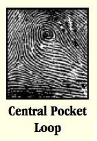 Forensic Research: Finger Print Analysis