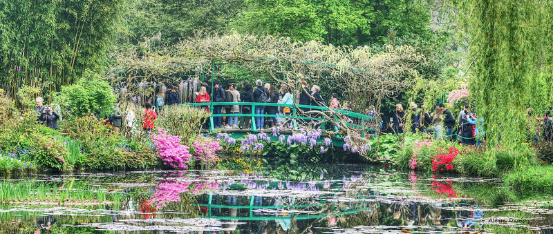 Monet's Pond — Japanese Pond