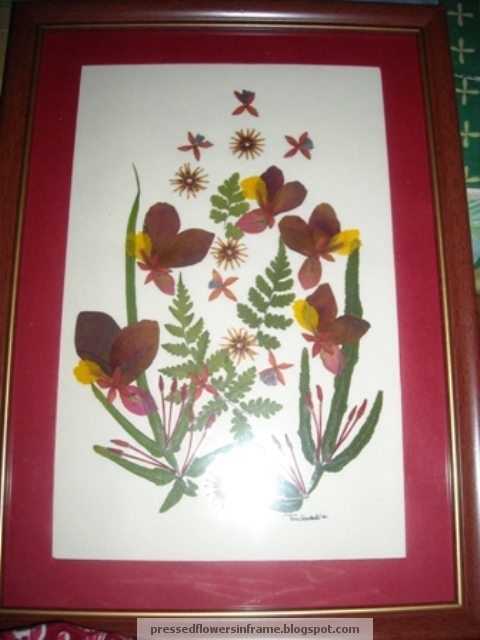 Pressed Flowers -Gifts n Decor: Bunga Tanjung- Its Unique Shapes