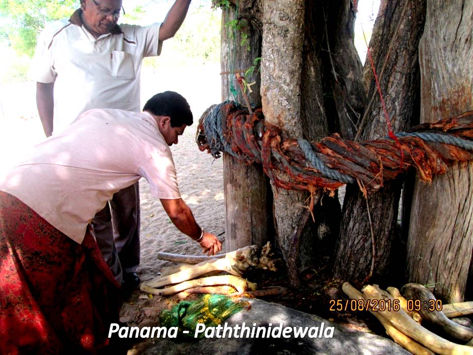 The Sri Lankan Traveller : Arugambay ; Panama Sri Lanka