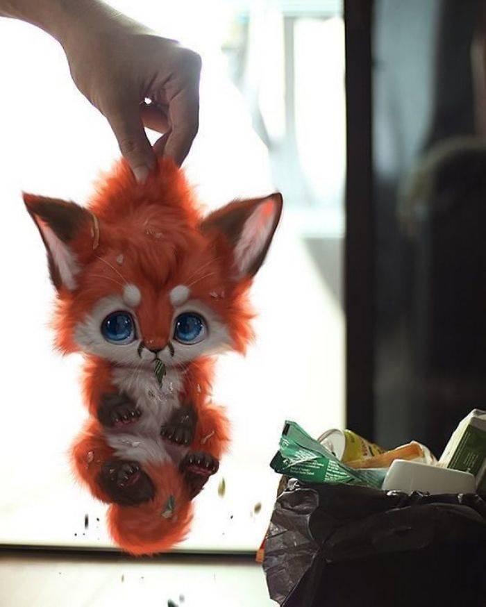 Chingum — Discover Curiosities: Malaysian Artist's Imagination And ...