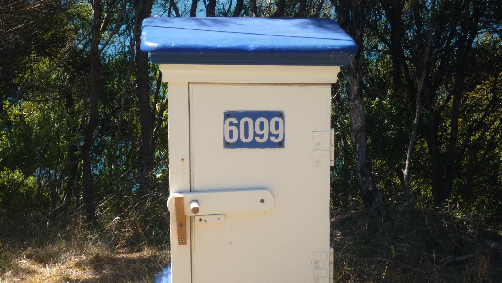 New-Zealand Adventure: Tondre des lamas à Cissy bay