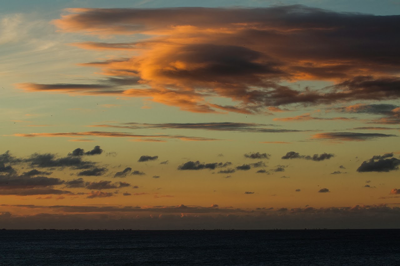 Dan Tiganila: Lacul Razim (Razelm)