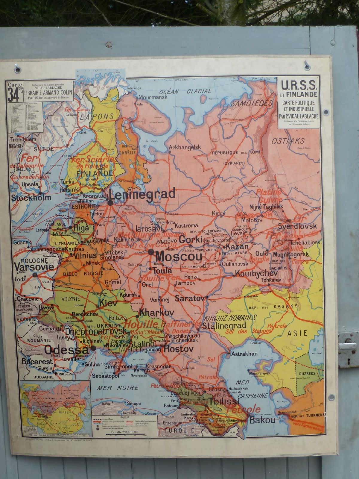 Vintage French Posters Botany Animals Anatomy, old World Maps from ...