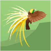 Where the wild jammers are: Animal Jam Journey Book: Paradise Party