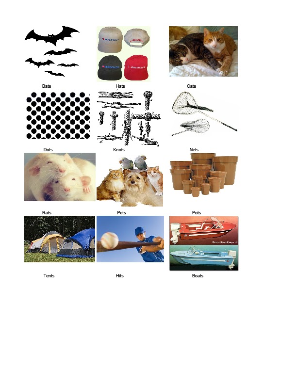 Miss Thorpe's Speech Therapy: ts blends final