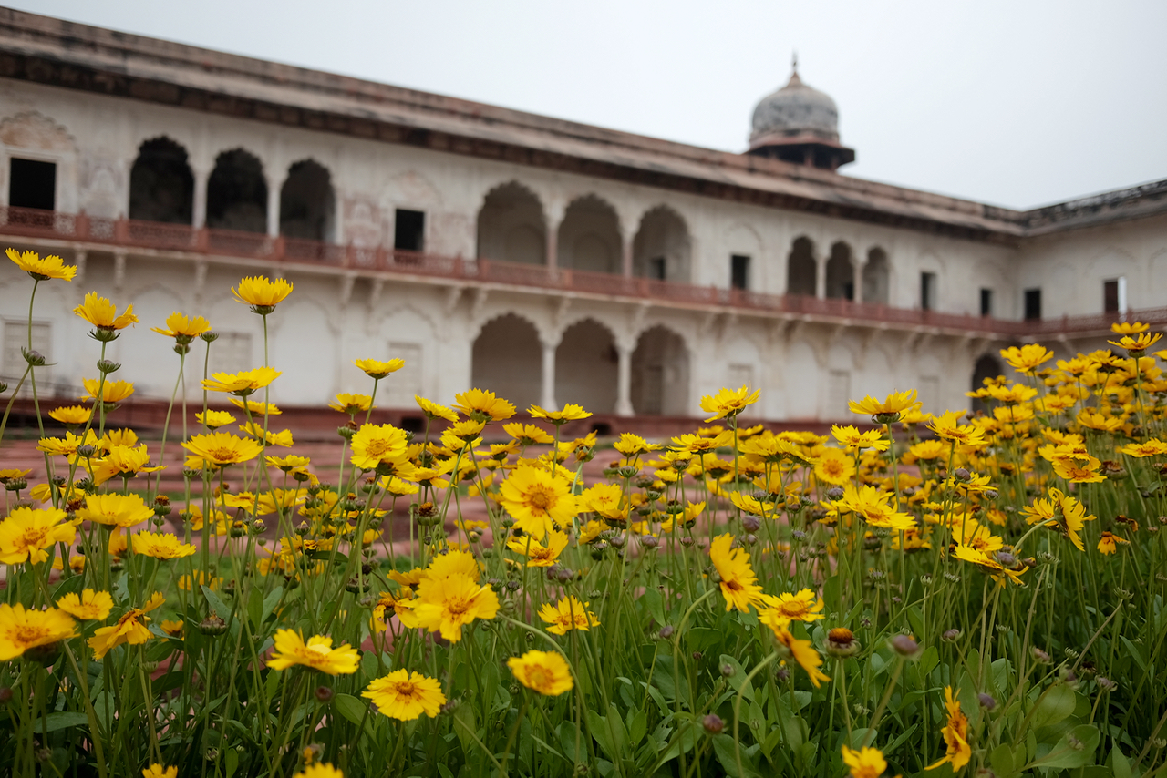 n-journal: Agra Fort: Benteng Merah Masa Kejayaan Mughal