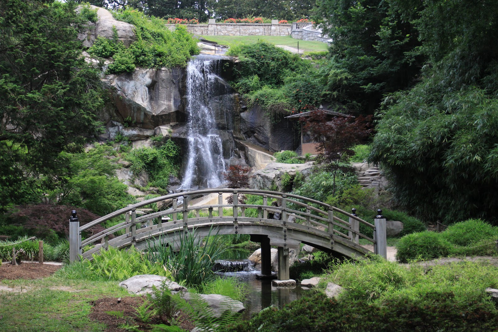 Japanese Zen Garden: Zen Bridge - Pond - Path