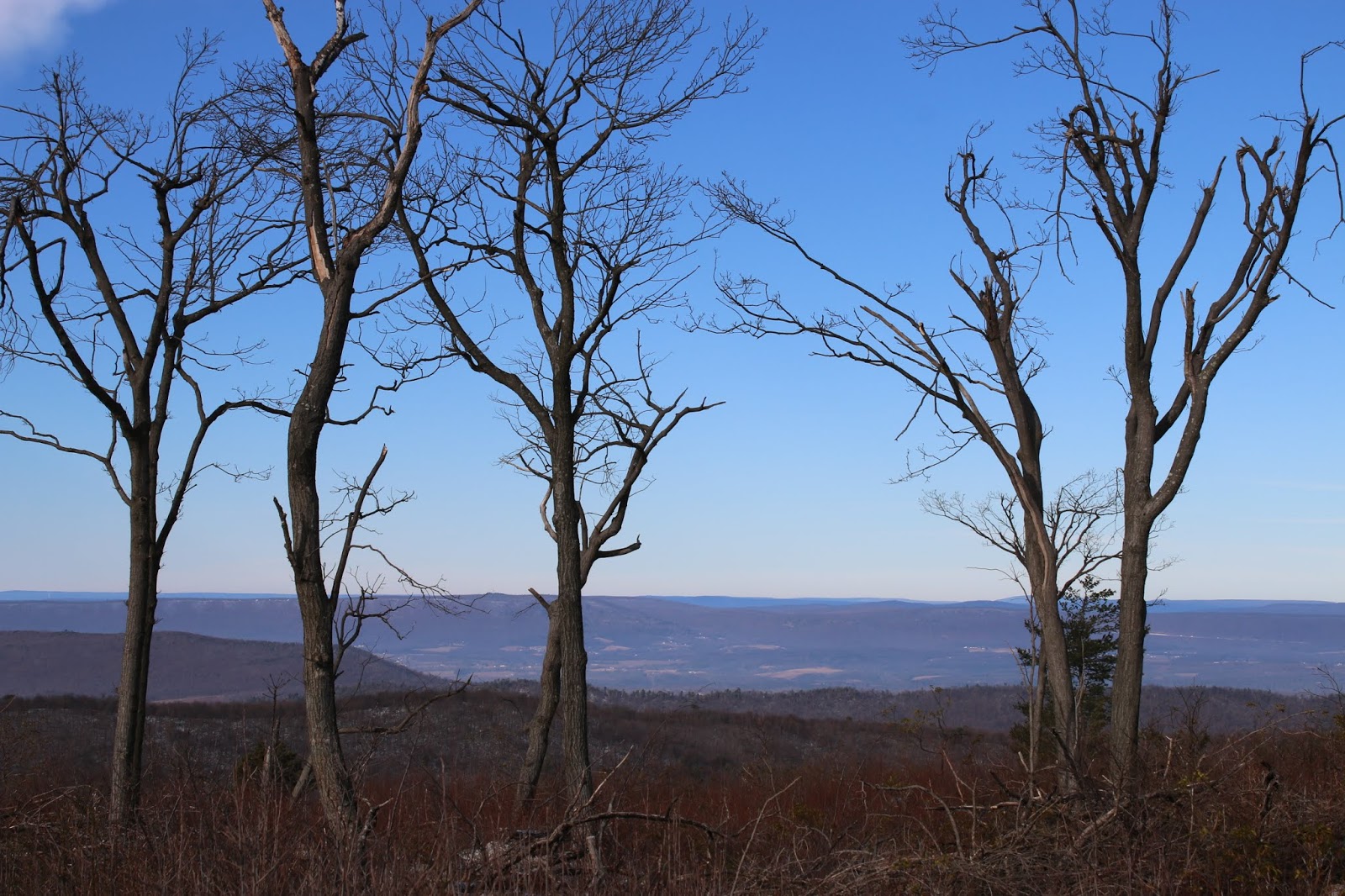 The Stunning Big Mountain Overlook, Tower Road Vista, Fort Loudon, PA ...