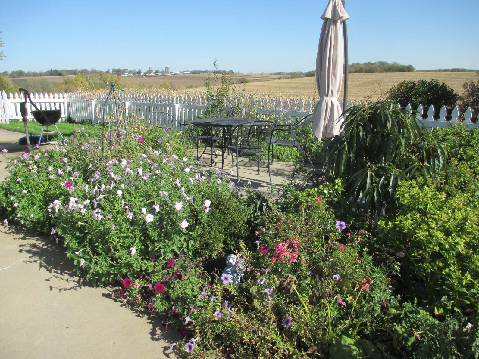 Garden Fancy: November 2017