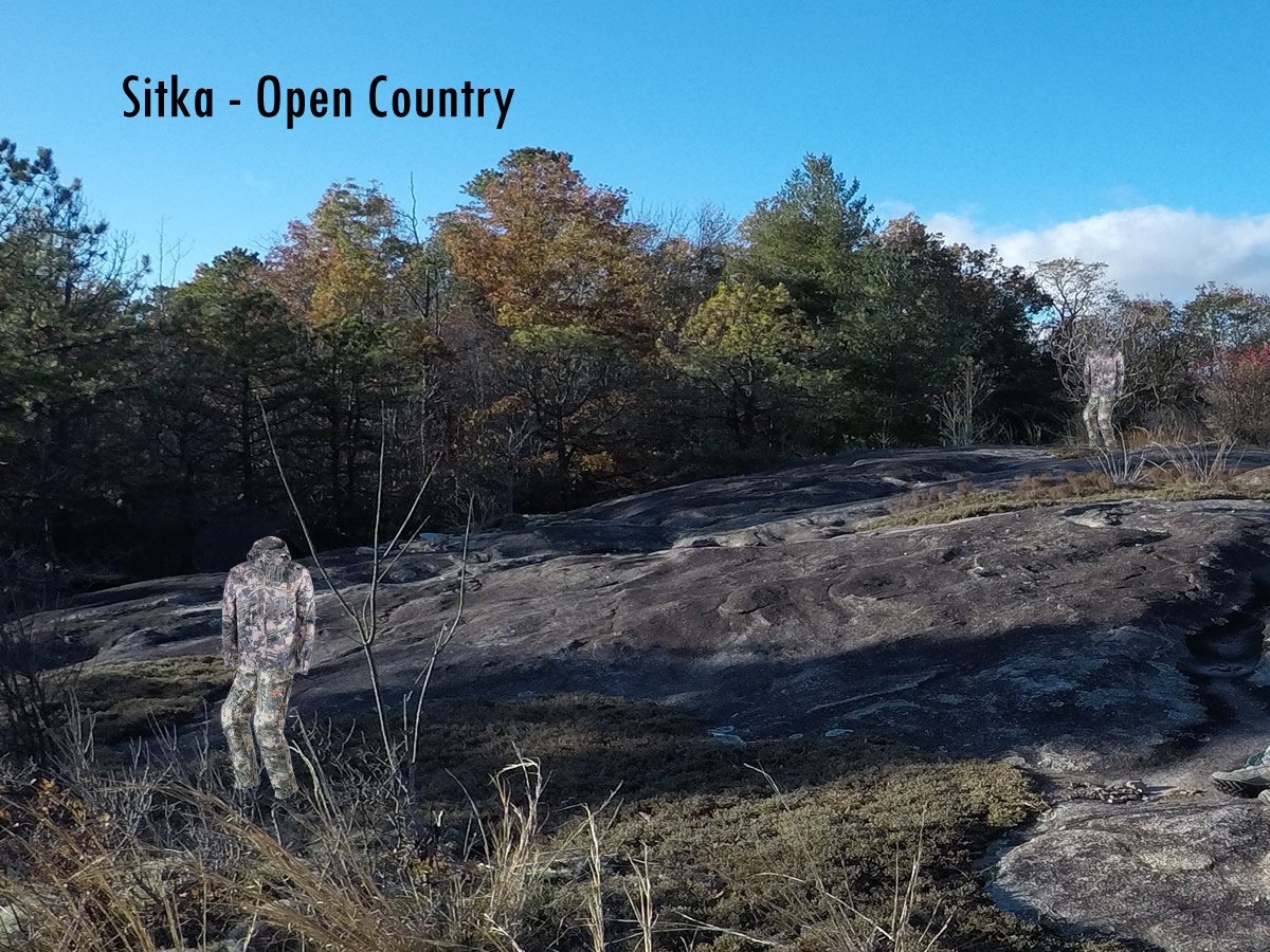 Stony and Forested Mountain Top