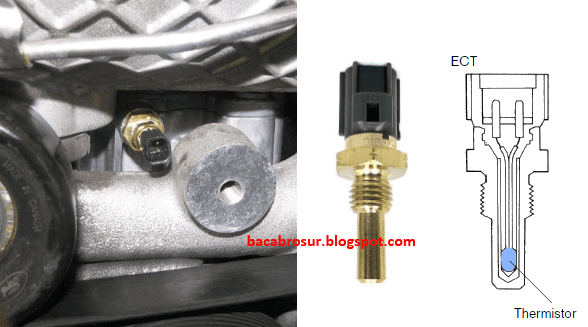 Mengenal 12 komponen sistem pendingin mesin mobil dan fungsinya - OMBRO