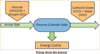 Pengertian Bio-baterai - Prinsip Kerja, Jenis dan Aplikasi - Belajar ...