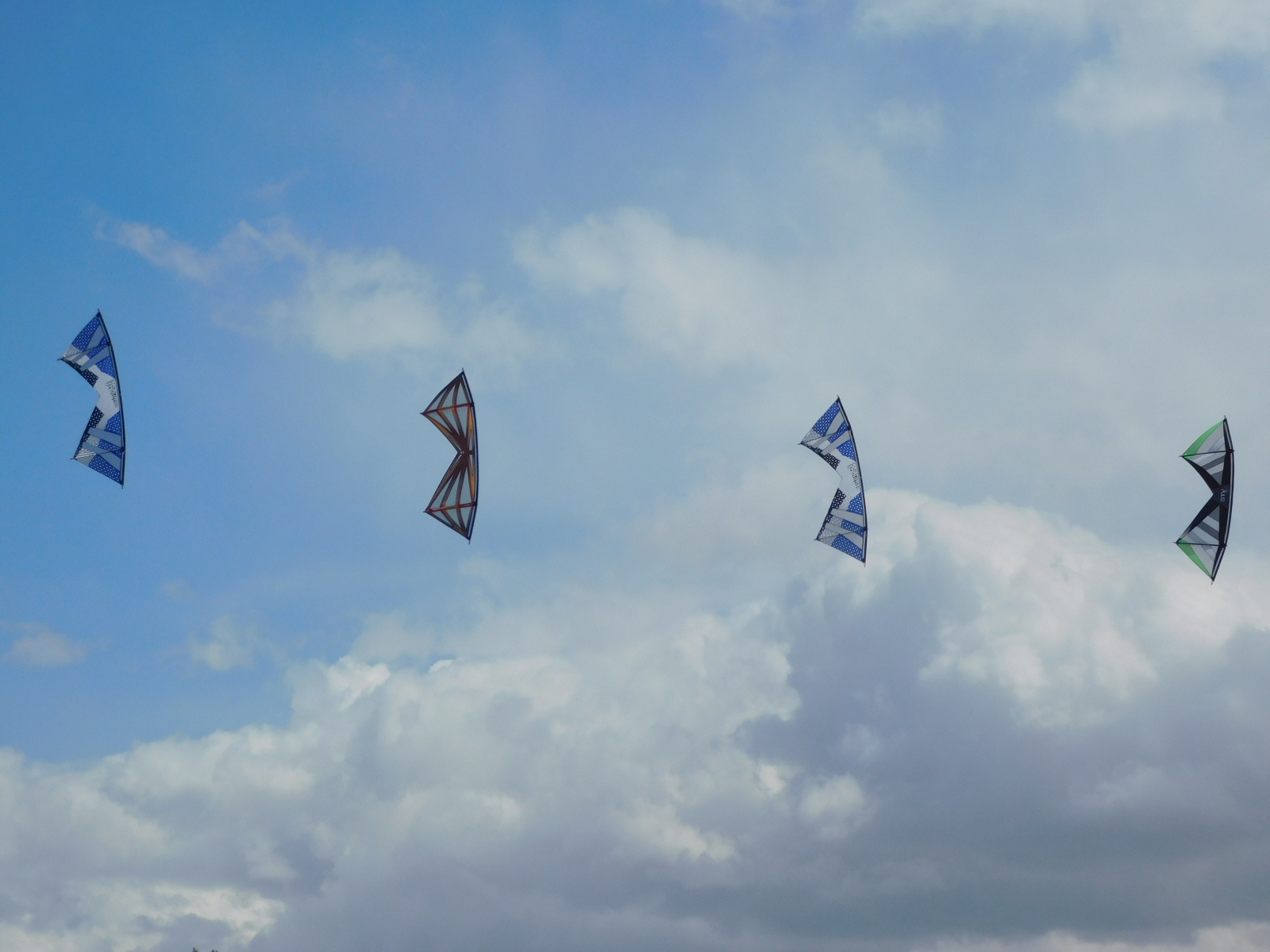 Flying Fish Kiting Team: Dunstable Kite Festival