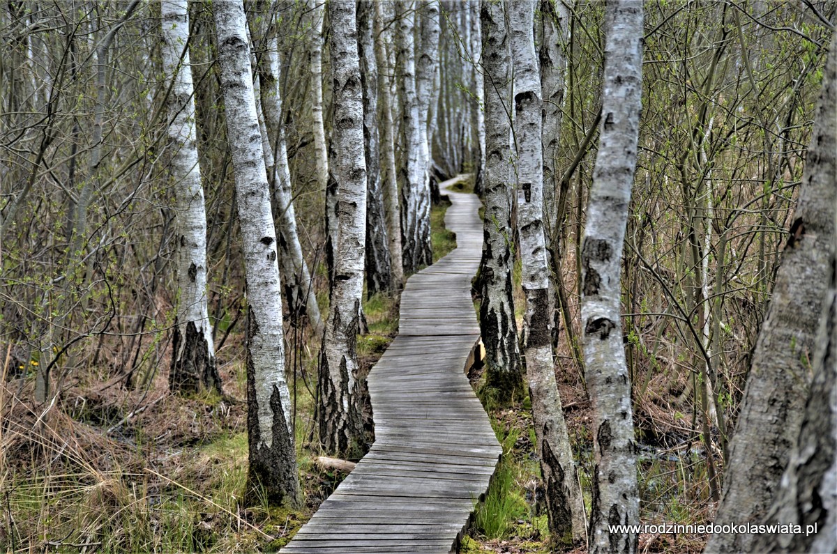 Polesie i Poleski Park Narodowy- co warto zobaczyć? | RODZINNIE DOOKOŁA ...