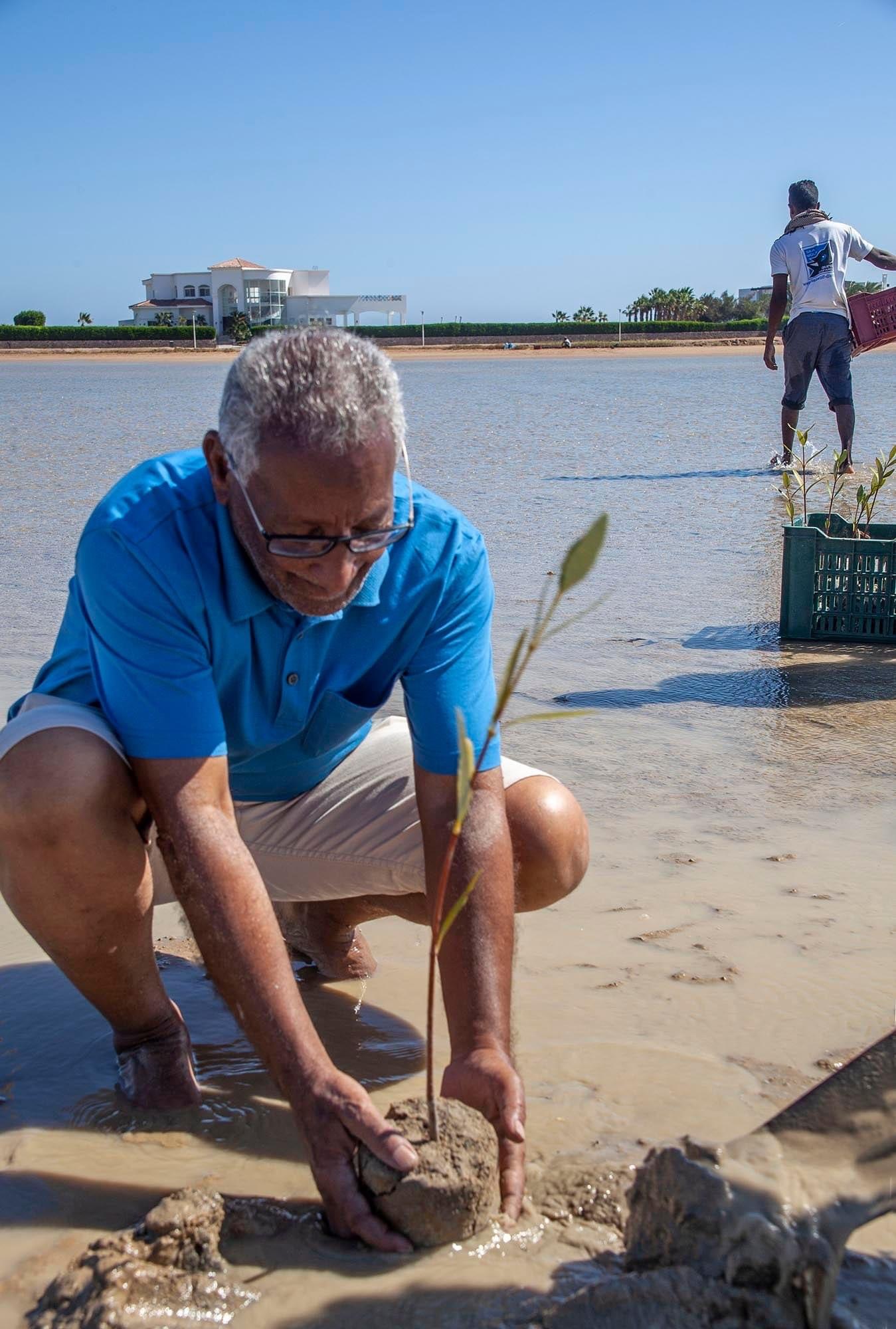 Mangrove Réhabilitation Project is Initiated