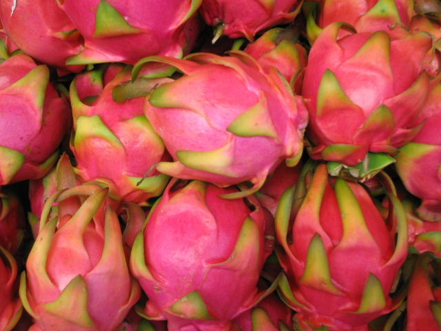 Le 3 Temps: Le Pitaya ou Le Pitahaya
