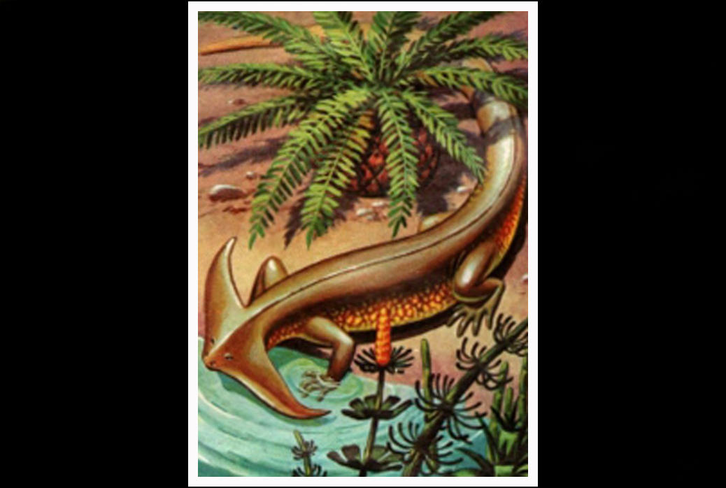 Miniaturas de Oxkarth: Hace Millones de Años - Álbum de Cromos - Parte 2