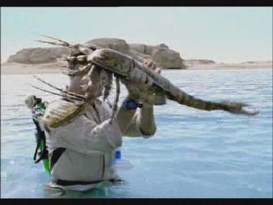 Fauna Prehistorica: BRONTOSCORPIO