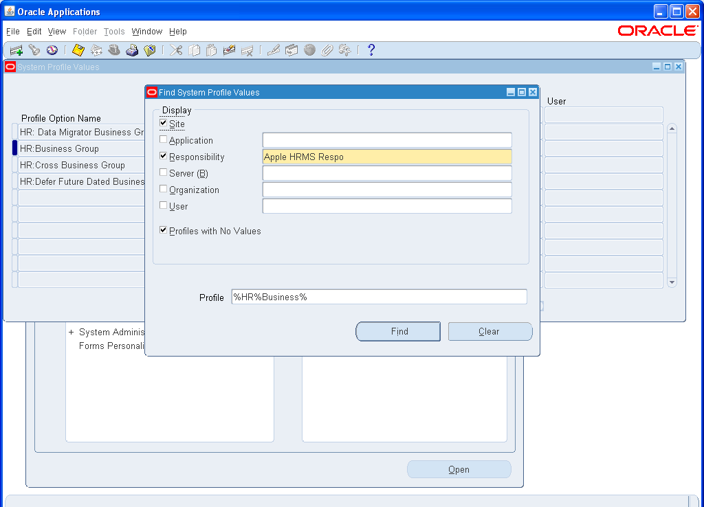 Oracle E-Business Suite R12 Financials: Defining Multi Organization