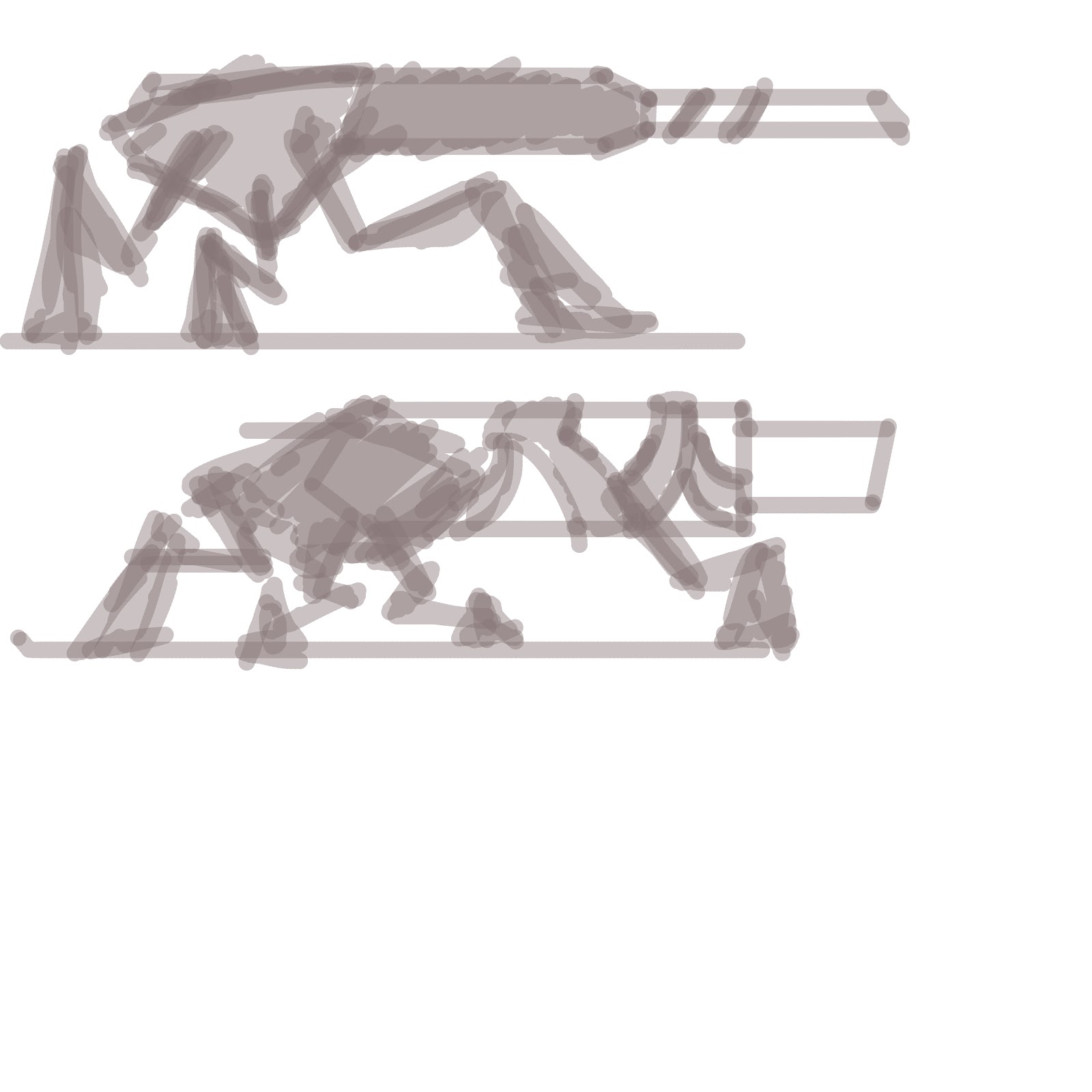 Perspective Spring 2013: Perspective HW- Gun 2 point