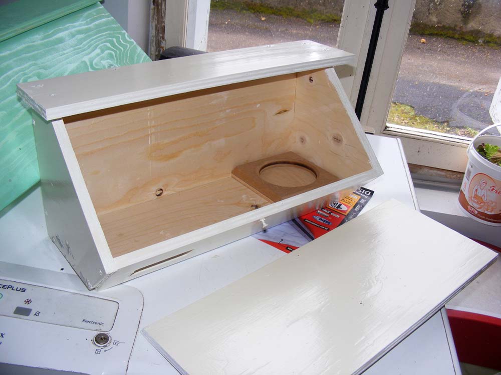 Loire Valley Nature: Swifts, Swallows and Martins