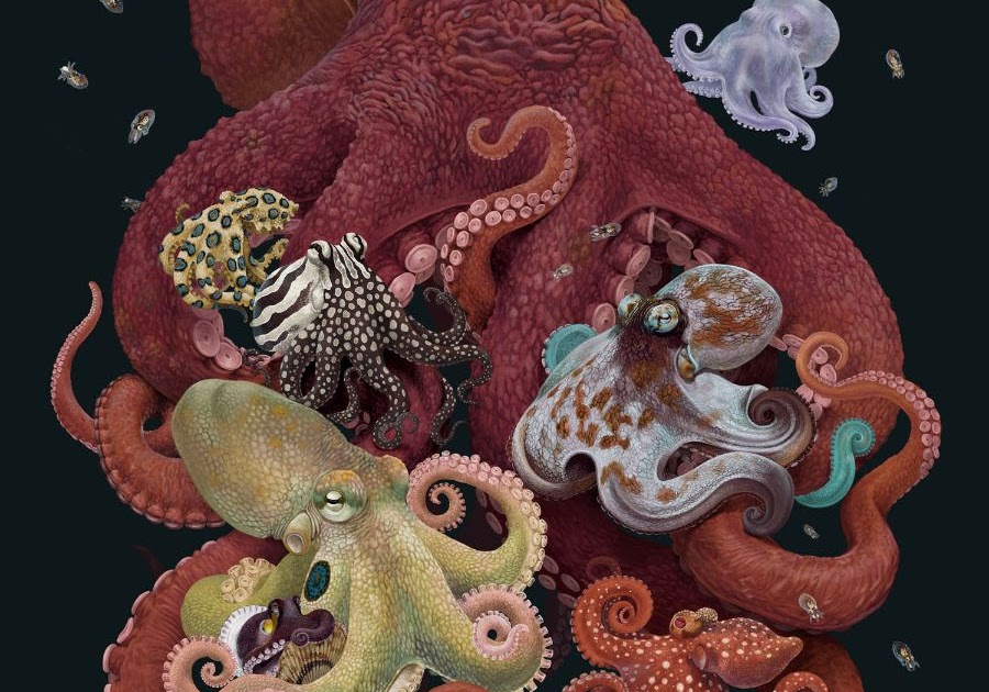 The Geeky Nerfherder: #CoolArt: 'Octopodes' print by Zoe Keller through ...