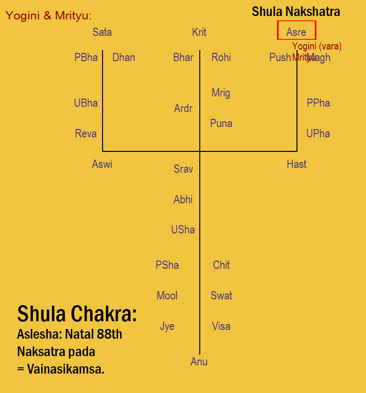 Hindu Astrology: Dikshita
