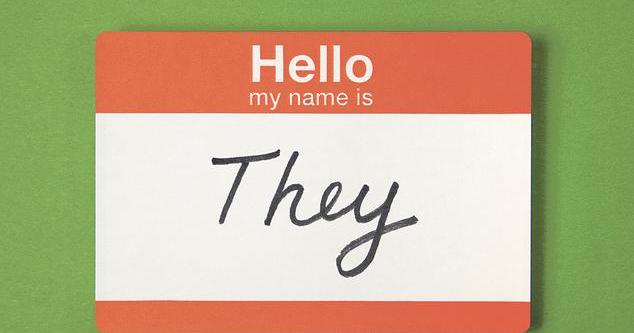 Project Thesis NIU The Singular They In Academic Writing project-thesis-niu-the-singular-they-in-academic-writing