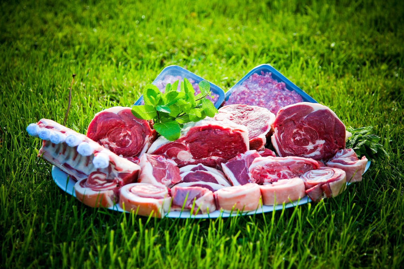 Kielder Organic Meats: Butchery