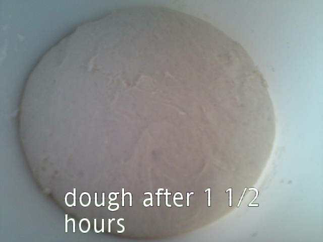 Cooking Pleasure: How To Make Buns Using Sponge Dough Method