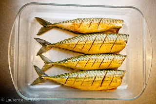 Through the Gaps! - Newlyn Fishing News: The best in Cornish beaches ...