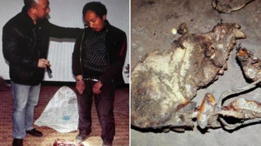 SOLYMONE BLOG: 10 HELD FOR KILLING PANDA AND SELLING ITS MEAT IN CHINA