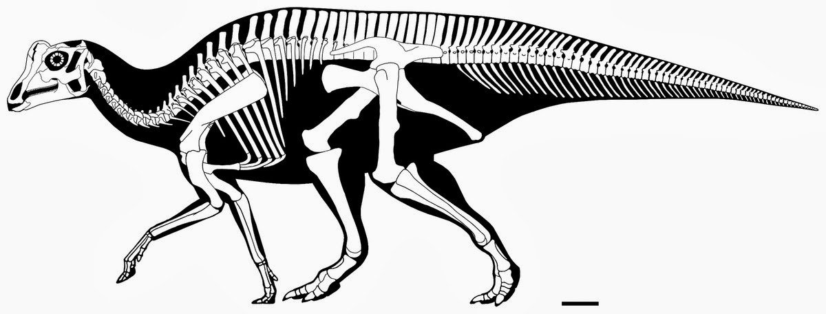 Parasaurolophus sp. Scott Hartman | Dinosaur, Prehistoric animals ...