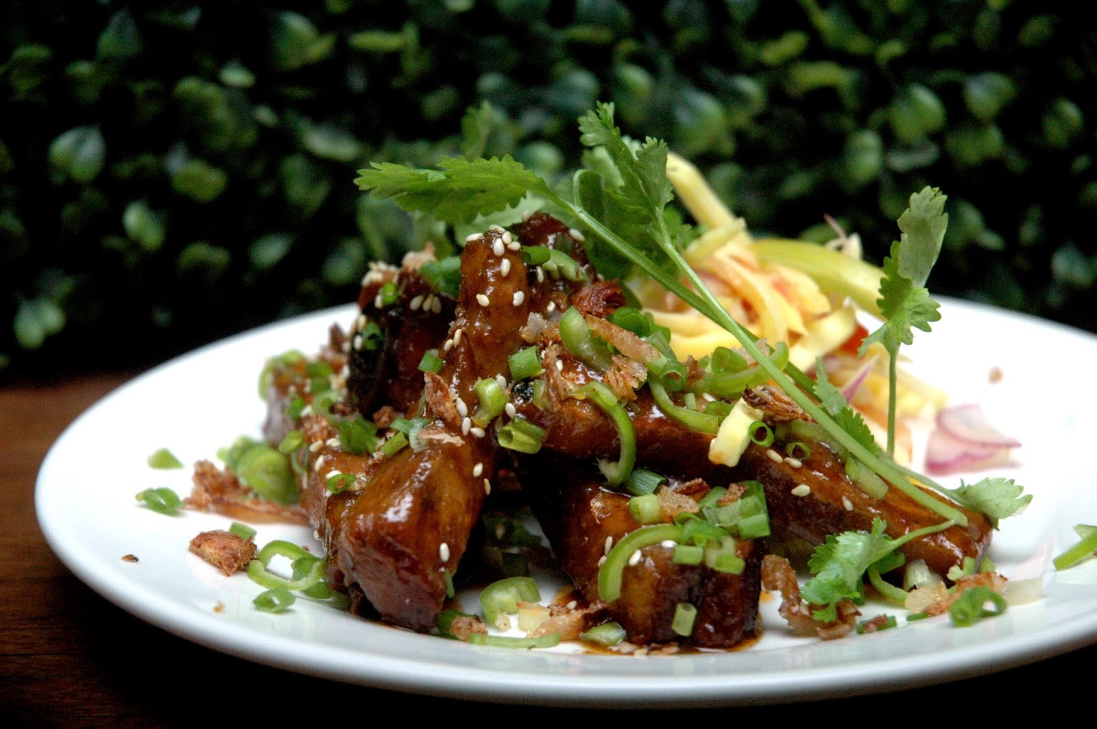 DUDE FOR FOOD: A Cook's Tour With No Reservations To Parts Unknown ...