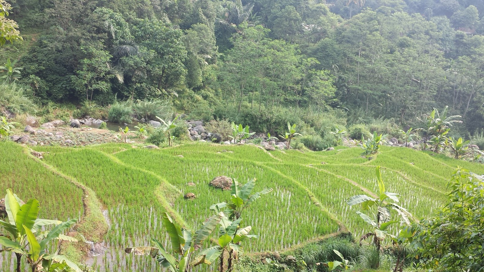 Wisata Indonesia Bagus: Curug Leuwi Lieut, Curug Leuwi Hejo, Curug ...