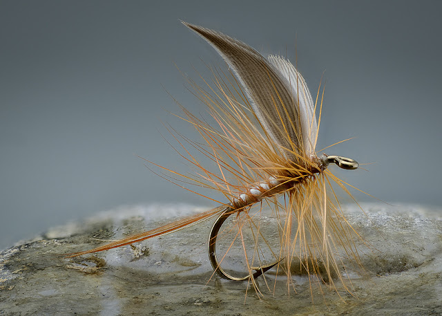 David Stenström Fly Tying: Red Quill Dun & Emerger