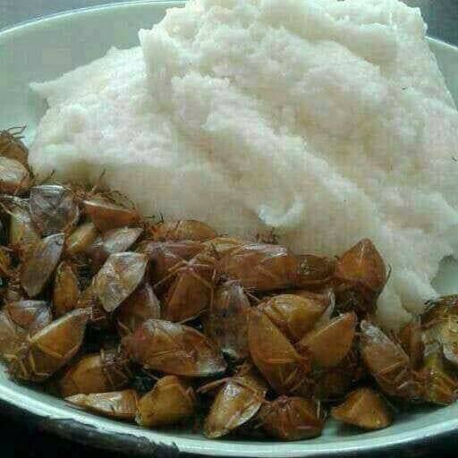 HARURWA FOR ED | Mafaro