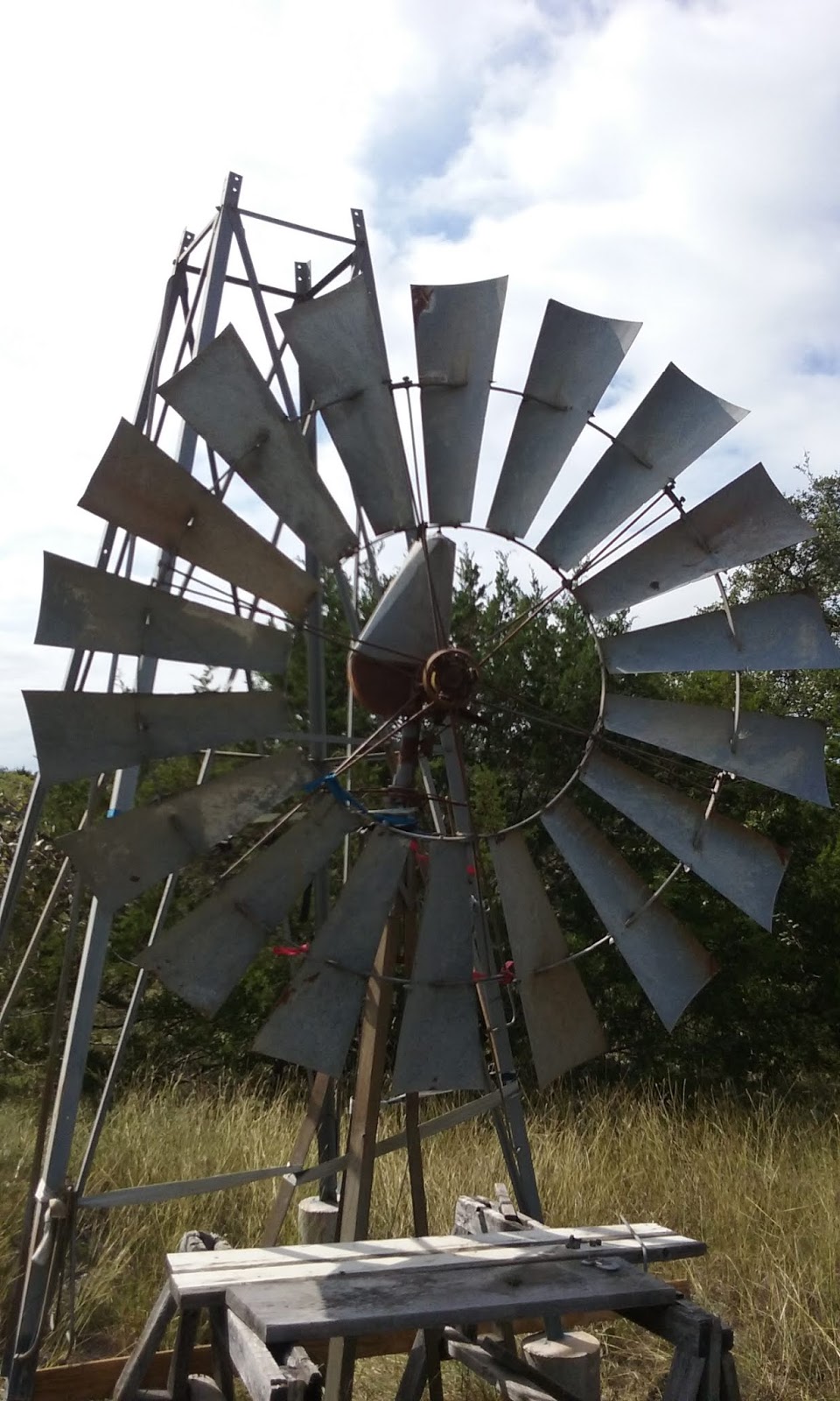 Aermotor Windmill Lives