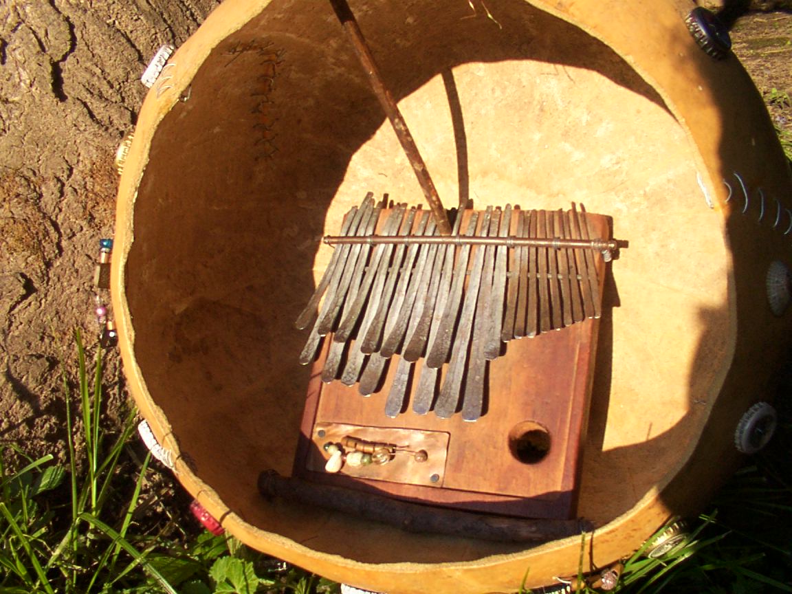 Peaceful dog: Zimbabwean Music Festival