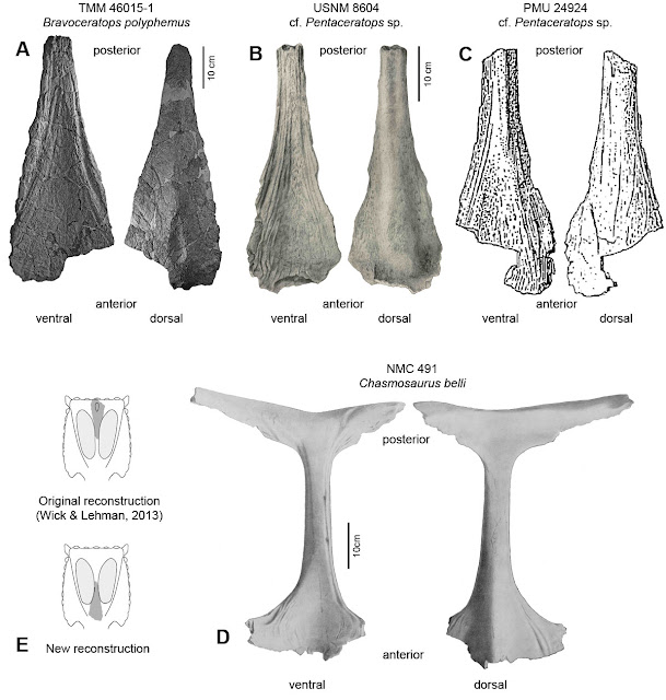 Dinosaur Postcards: Navajoceratops & Terminocavus : new transitional ...