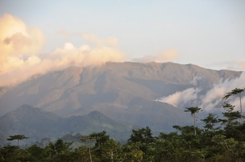 Palawan Adventure Guide: 14 amazing facts that makes Palawan the best ...