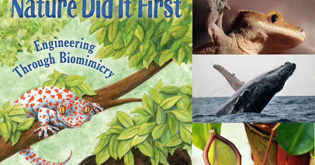 Share it! Science : Poetry and Engineering Inspired by Nature!