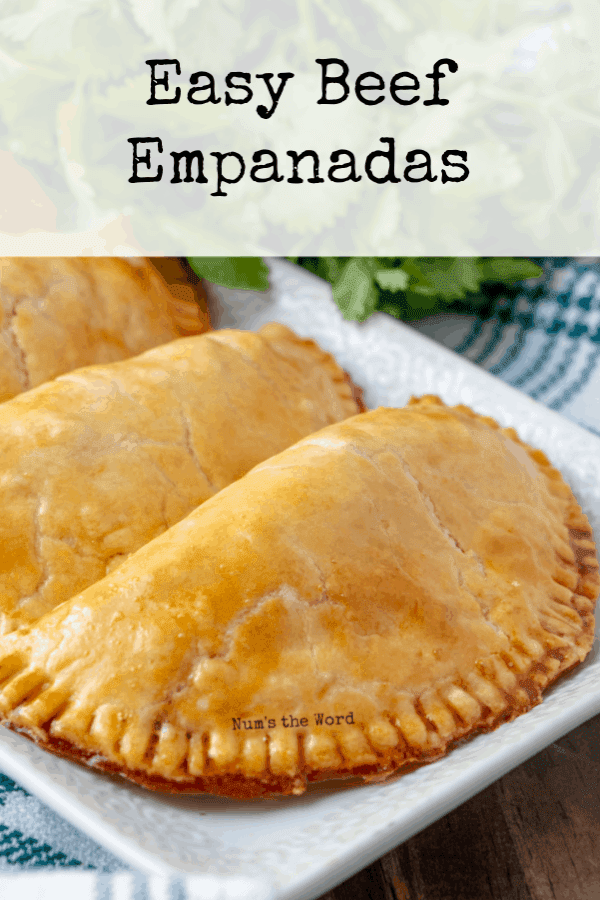 Easy Beef Empanada Recipe