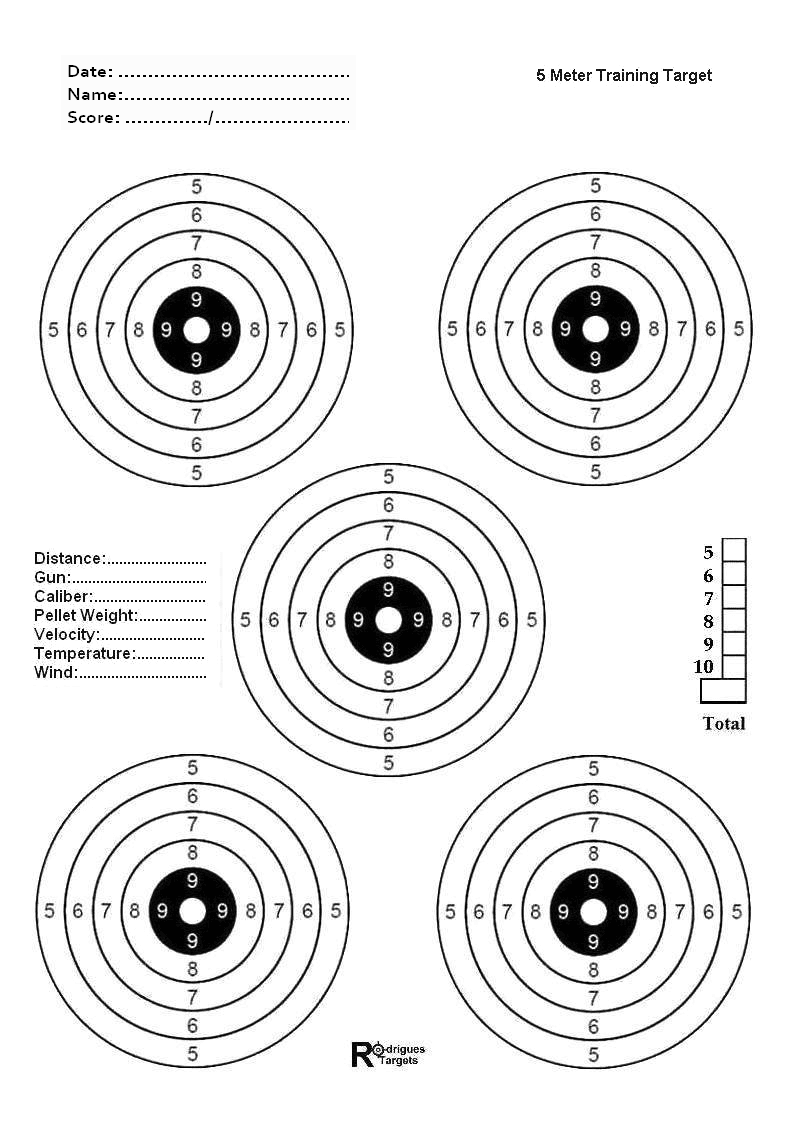 Airsoft Tir I Airsoft România Blog: Ţinte (Targets) pentru replicile cu ...