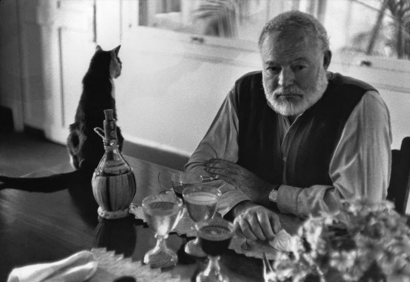 26 Interesting Vintage Photos of Ernest Hemingway With His Beloved Cats ...