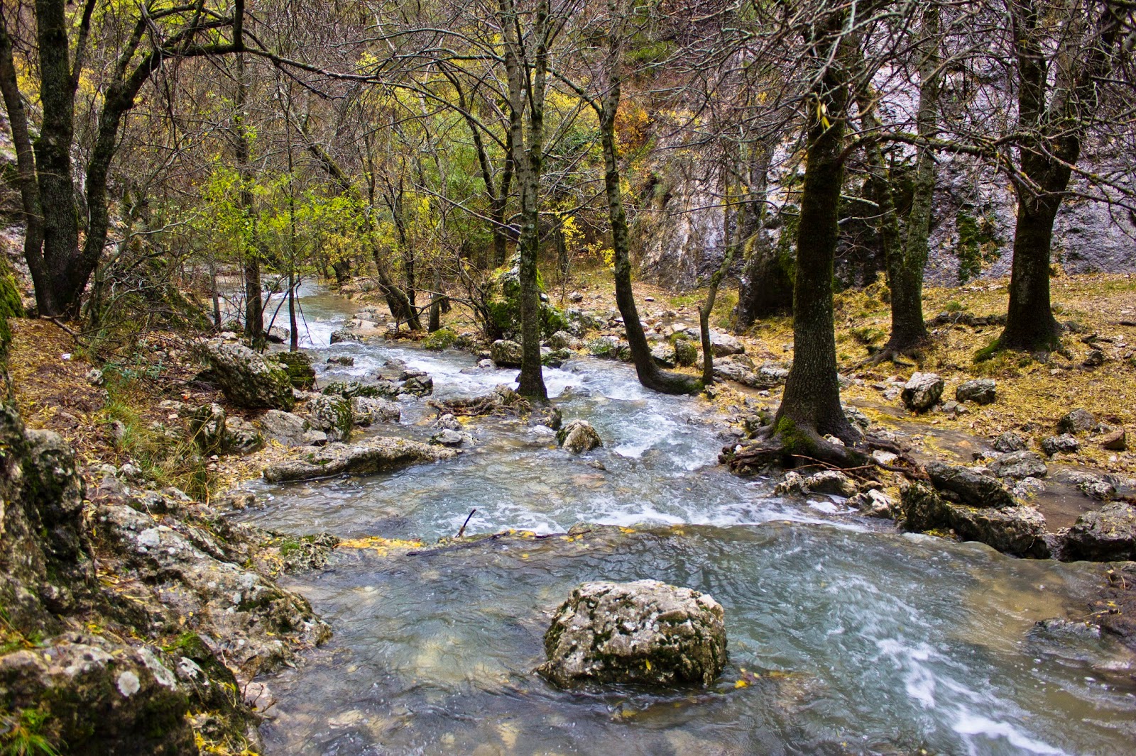 Ruta en coche: la Sierra de Cazorla, nacimiento río Guadalquivir ...