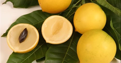 CUENTOS E HISTORIAS DE LA SELVA: EL CAIMITO