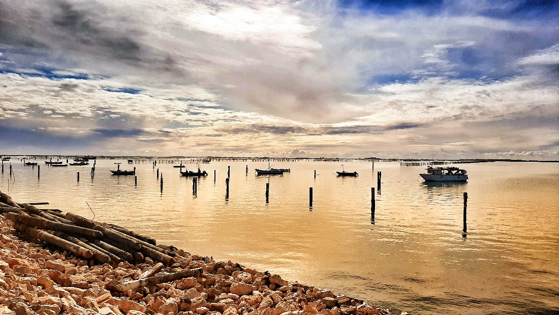 Un itinerario alla scoperta del Delta del Po: ecco cosa vedere ...