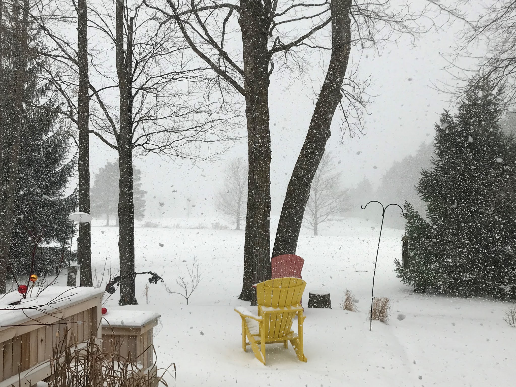 Seasons in the Valley + Furry Gnome's Adventures: Snow Flurry